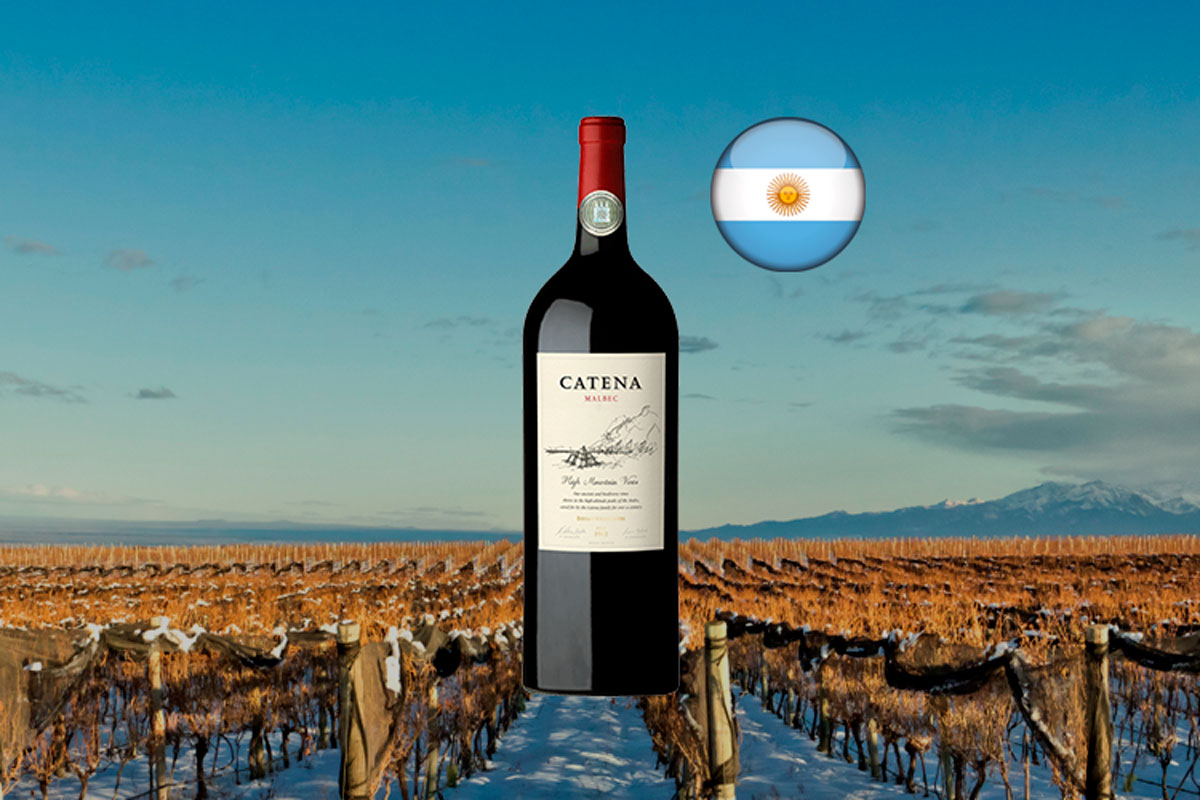 Catena Malbec 2022 - Magnum - Vinho tinto argentino | Center Gourmet ...