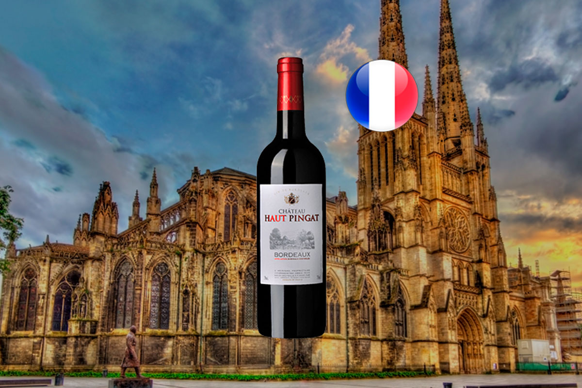 Château Haut Pingat 2019 - Vinho tinto francês | Center Gourmet Vinhos ...