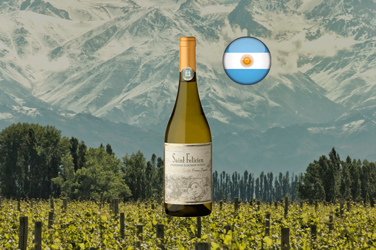 Saint Felicien Chardonnay 2023 - Vinho branco argentino | Center ...