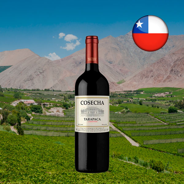 Kit 6 Garrafas Cosecha Tarapacá Carménère – Qualidade e Economia ...