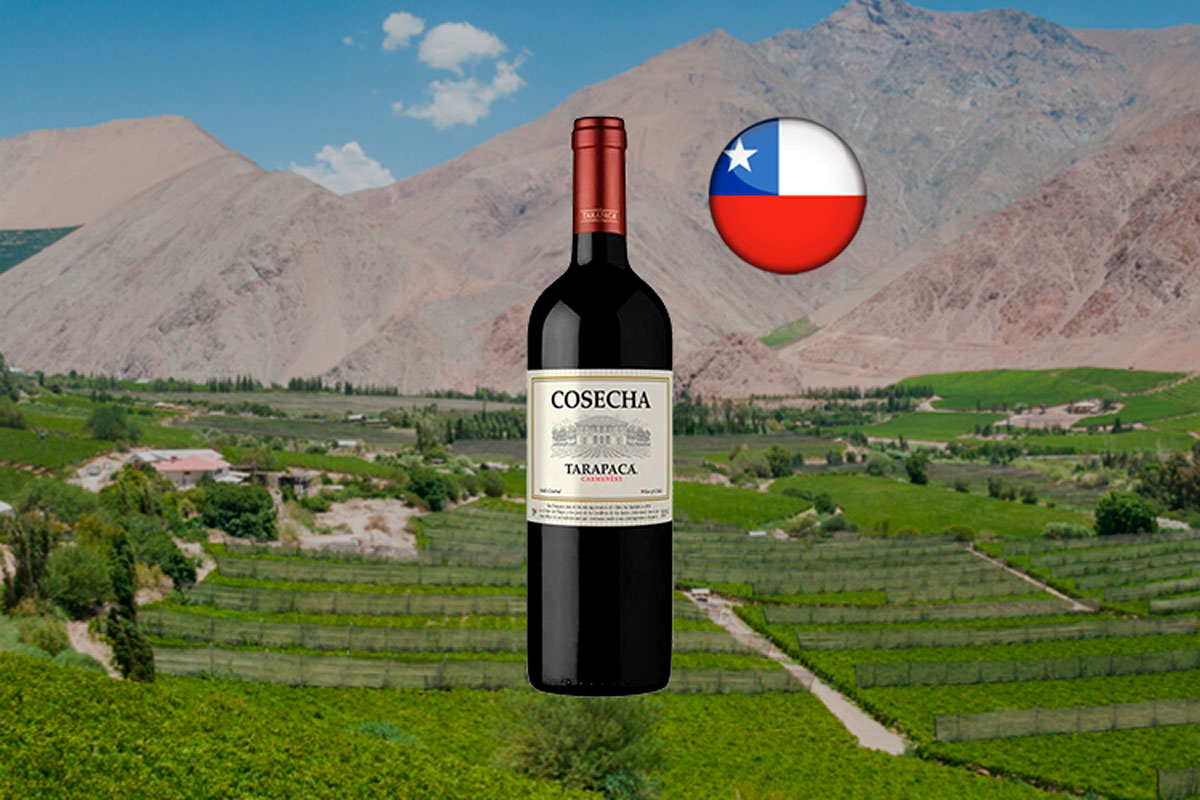 Cosecha Tarapacá Carmenére - Vinho tinto chileno | Center Gourmet ...