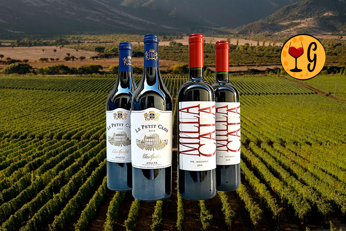 Kit 2 Vinhos Ícones do Chile – Sofisticação em Dobro com Le Petit Clos ...