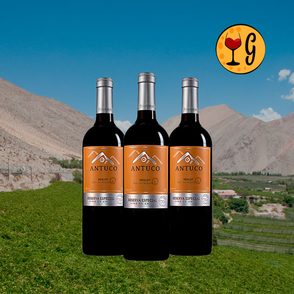 Kit 3 Garrafas Antuco Reserva Especial Merlot 2020 – Elegância e Sabor ...