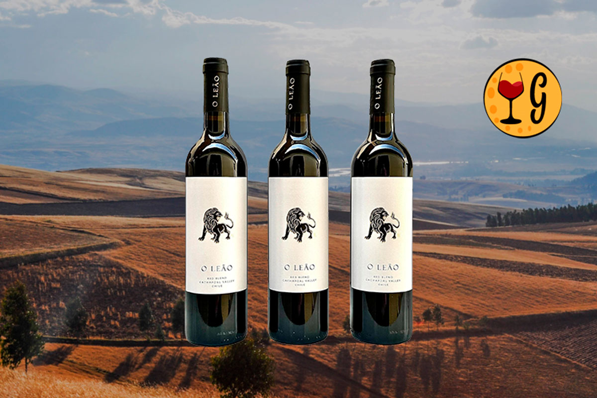 Kit 3 Garrafas Vik O Leão Red Blend 2021 – Rugido Chileno Triplicado ...