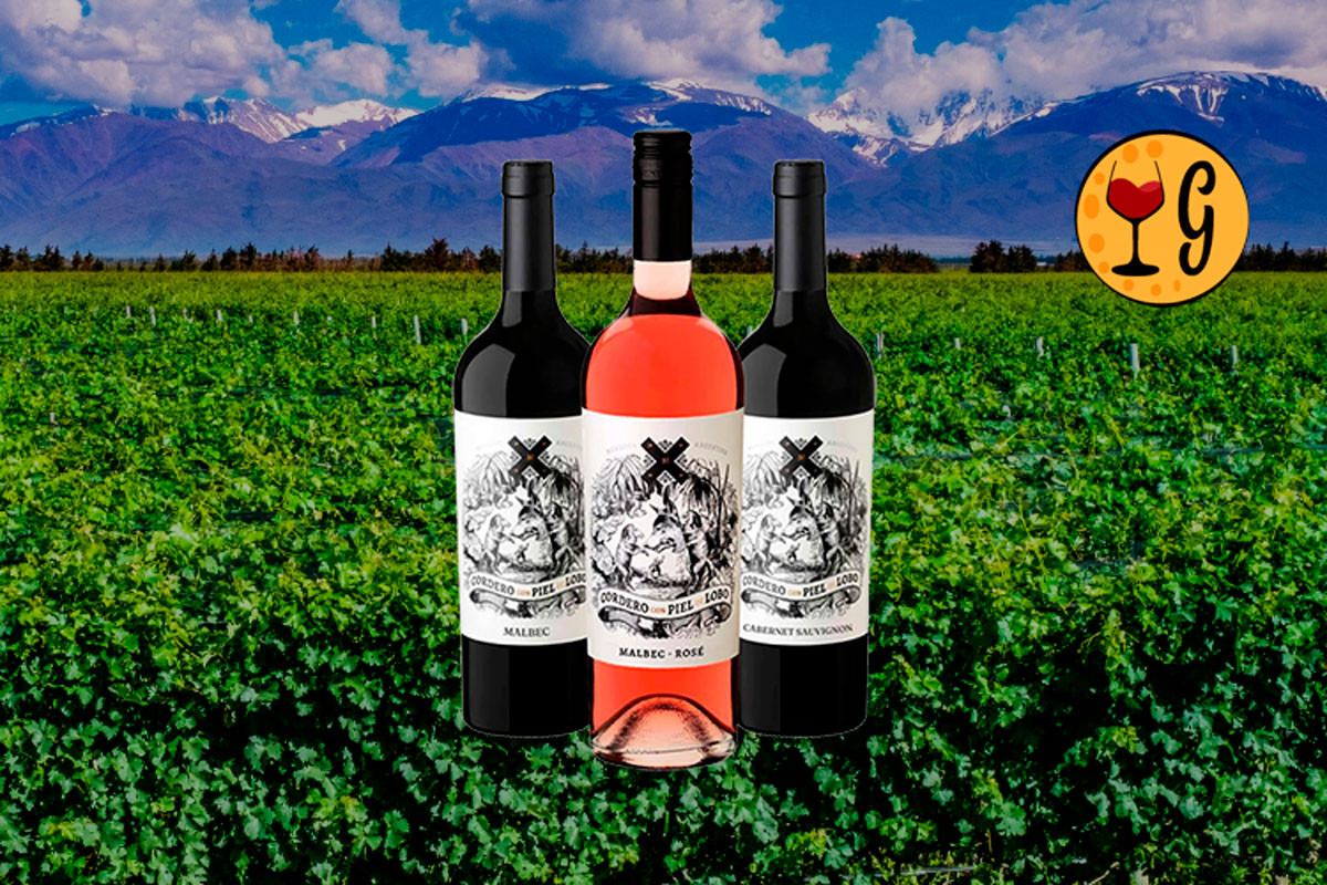Kit 3 Vinhos Cordero con Piel de Lobo – Elegância de Mendoza ao Seu Alcance | Center Gourmet ...