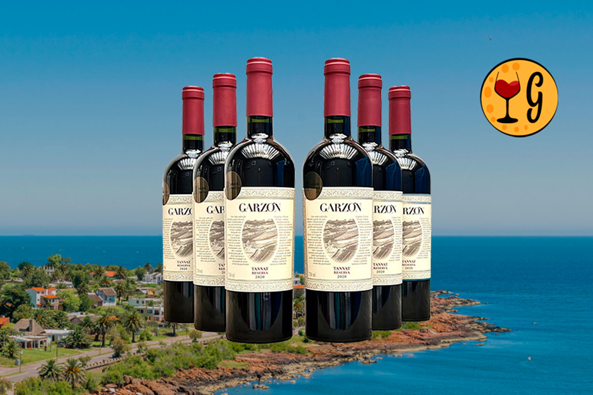 Kit 6 Garrafas Garzón Reserva Tannat – Potência e Elegância do Tannat ...