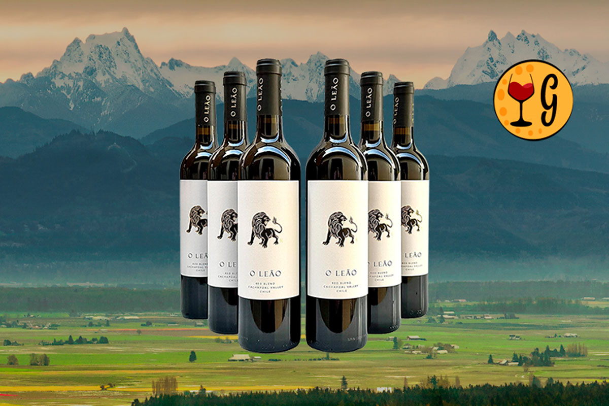 Kit 6 Garrafas Vik O Leão Red Blend 2021 – Força e Elegância Chilena ...