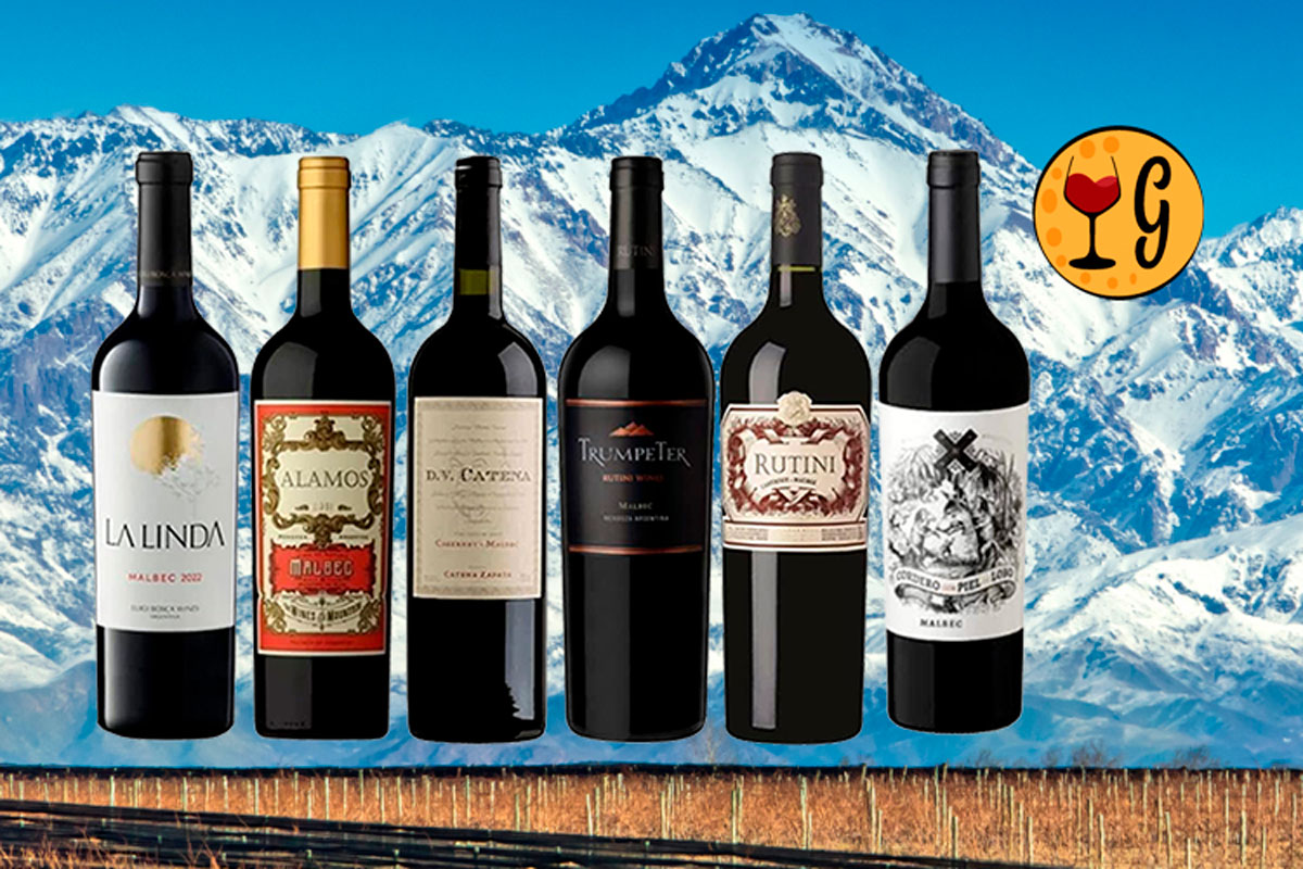 Kit 6 Vinhos Argentinos Imperdíveis – Grandes Rótulos de Vinícolas ...