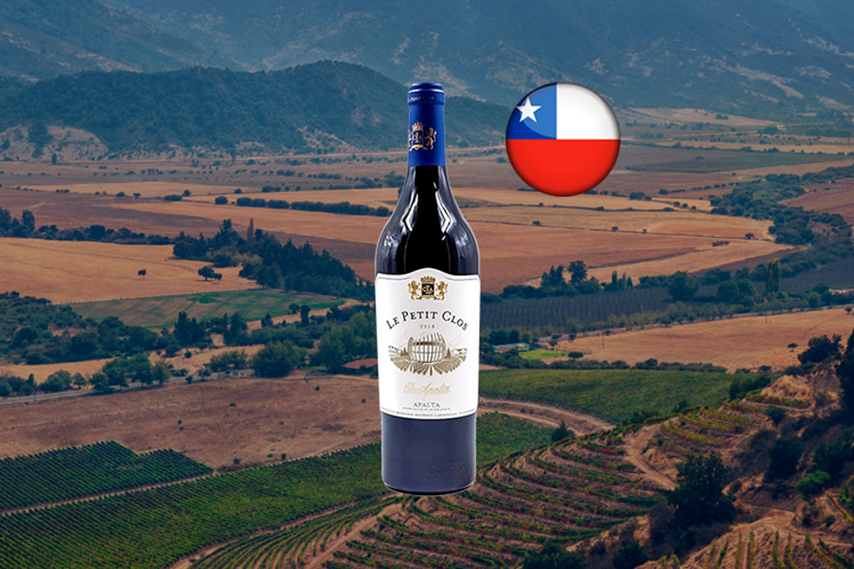Le Petit Clos 2018 - Vinho tinto chileno | Center Gourmet Vinhos e ...