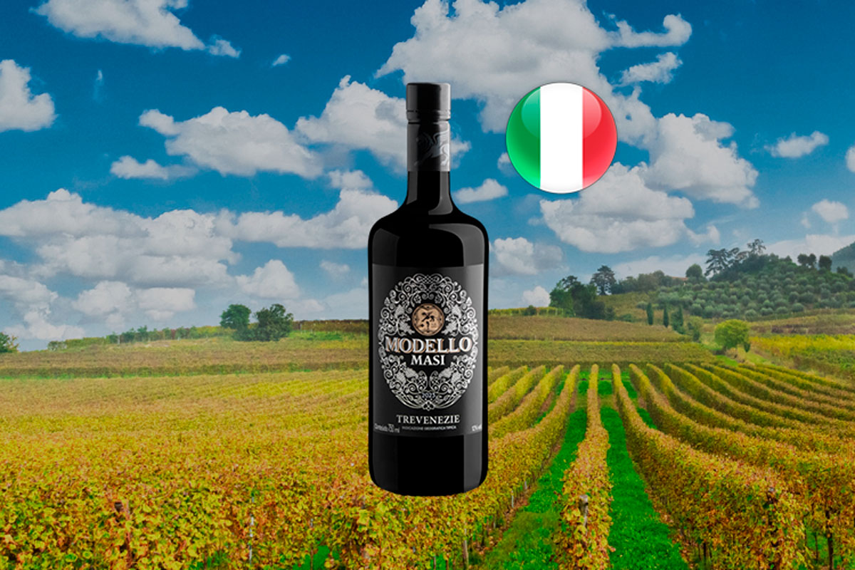 Masi Modello Rosso Trevenezie IGT - Vinho tinto italiano | Center ...