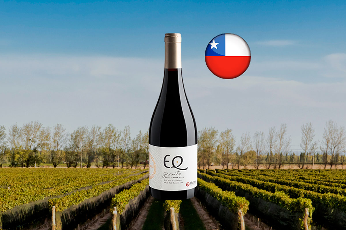 Matetic EQ Granite Pinot Noir Valle de Casablanca DO - Vinho tinto ...