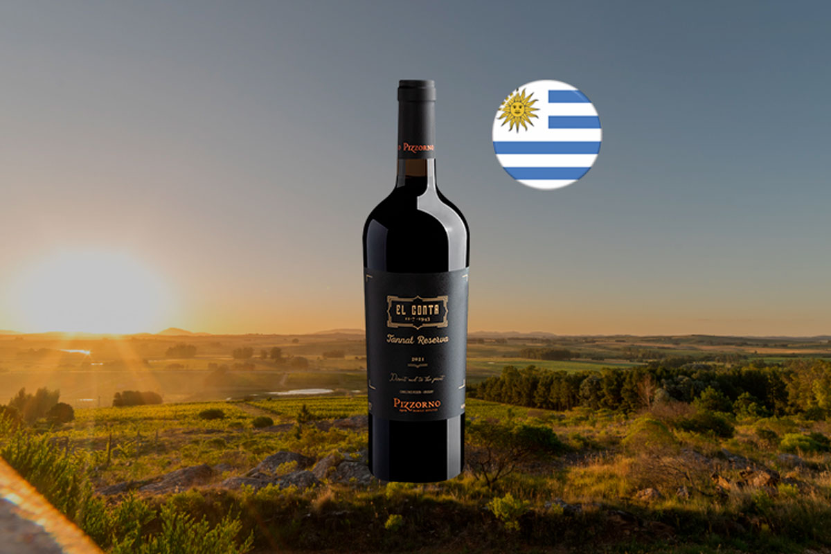 Pizzorno El Conta Reserva Tannat 2021 - Vinho tinto uruguaio | Center ...