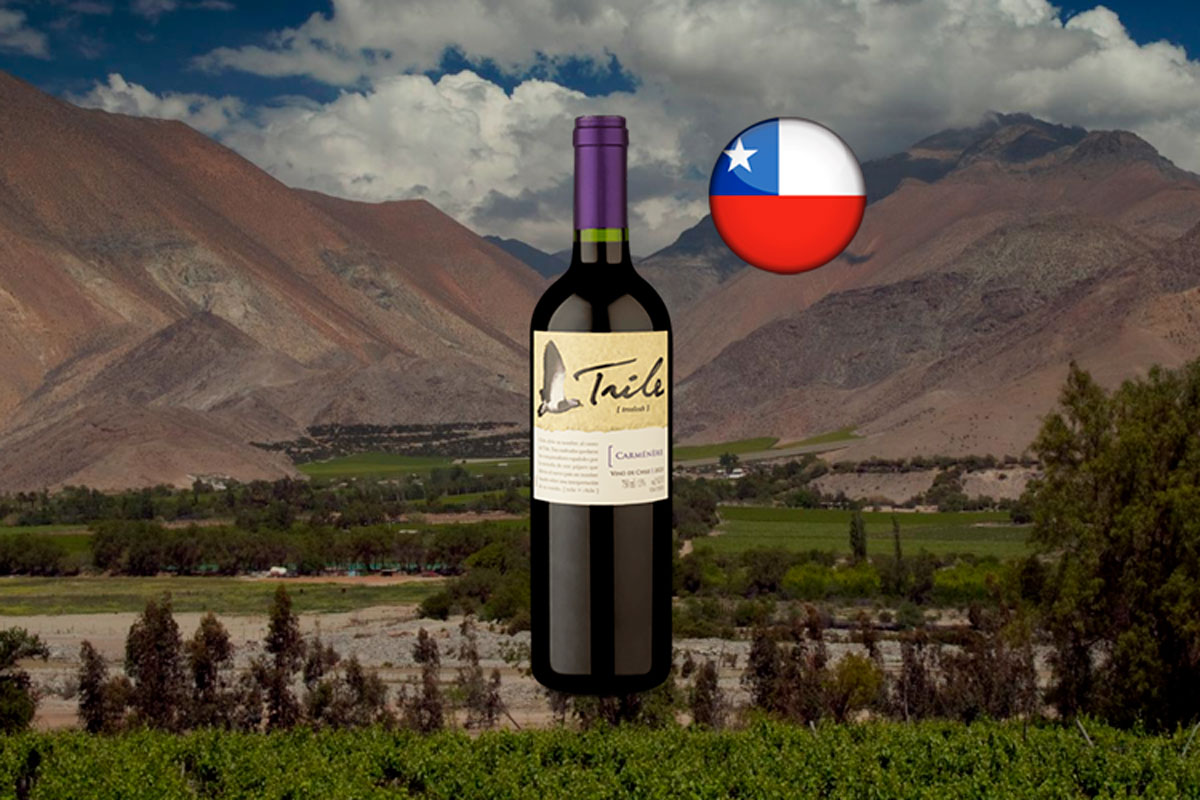 Trile Carmenérè 2023 - Vinho tinto chileno | Center Gourmet Vinhos e acompanhamentos