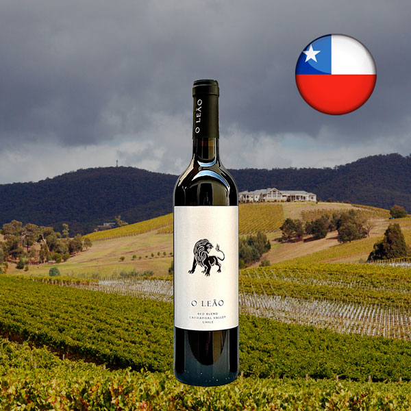 Vik O Leão Red Blend 2021 - Vinho tinto chileno | Center Gourmet Vinhos ...