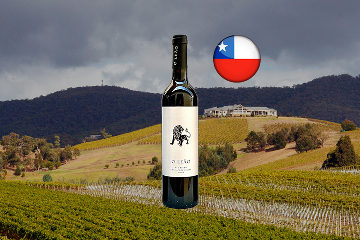 Vik O Leão Red Blend 2021 - Vinho tinto chileno | Center Gourmet Vinhos ...