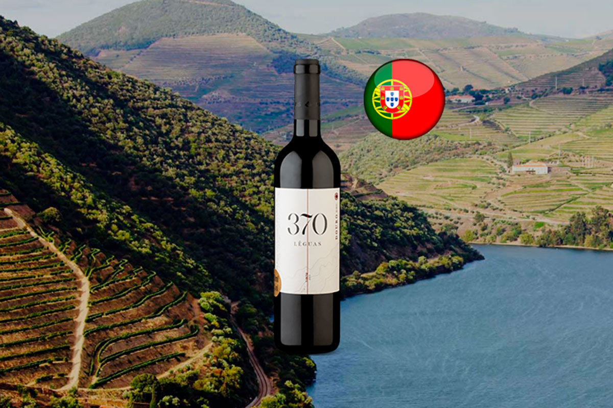 370 Léguas DOC Douro 2019 - Vinho tinto português | Center Gourmet ...