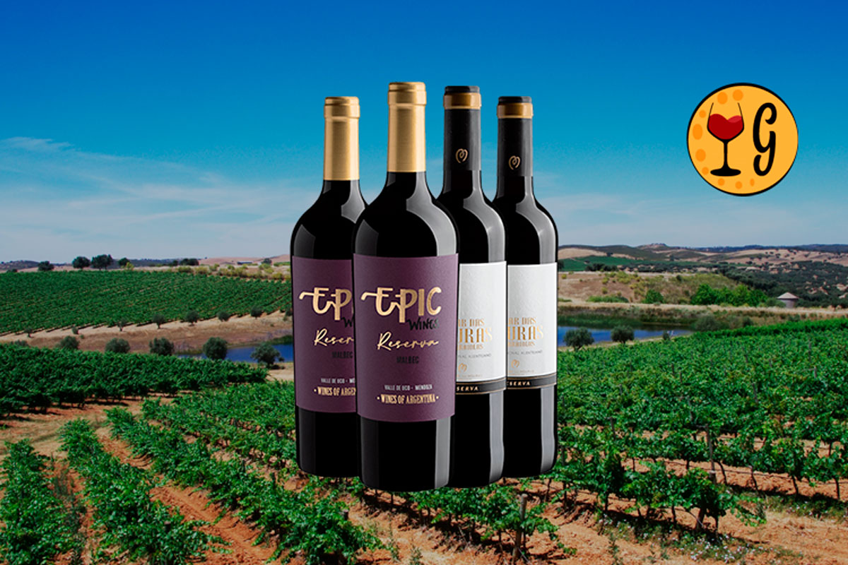 Kit 4 Reservas Argentina & Portugal - Malbec de Mendoza e Alentejo por ...