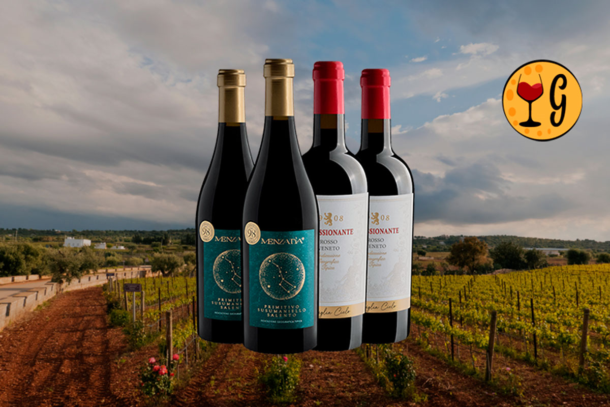 Kit 4 Vinhos Italianos 98 Pontos Luca Maroni – Puglia e Veneto Unem ...