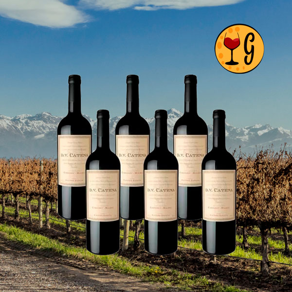 Kit 6 Garrafas Catena Zapata DV Catena Cabernet-Malbec 2024 – Potência ...