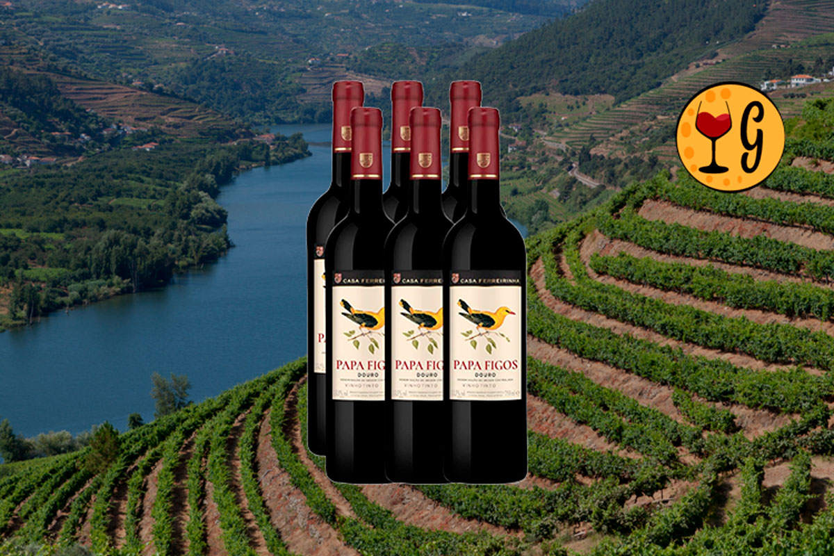 Kit 6 Garrafas Papa Figos Douro Seleção 6x750ml – Tradição e Sabor ...