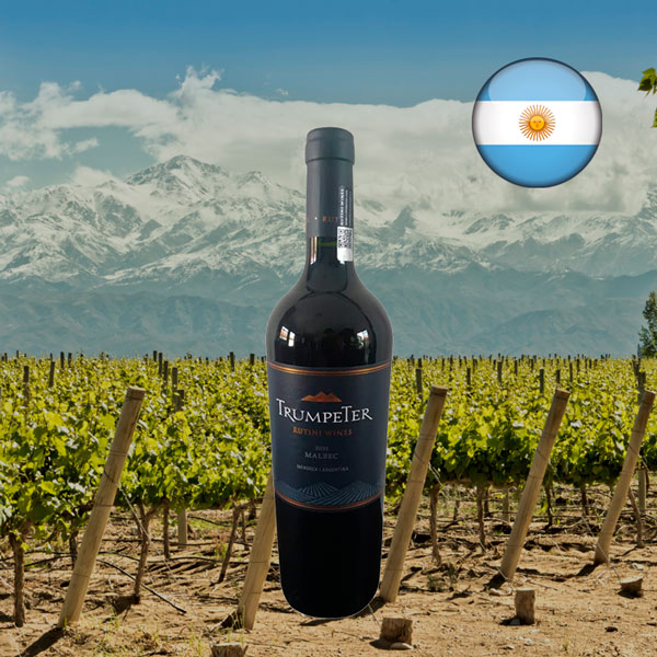 Kit 4 Garrafas Rutini Trumpeter Malbec 2022 – Altitude e Intensidade em ...