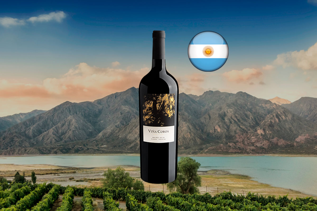 Viña Cobos Vinculum Malbec 2018 1500 mL - Vinho tinto argentino ...