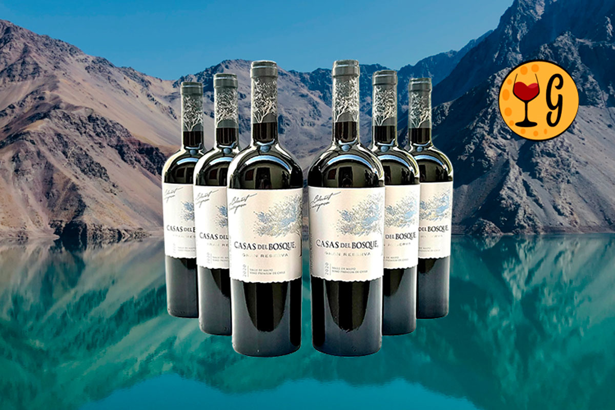 Kit 6 Garrafas Casas Del Bosque Gran Reserva Cabernet Sauvignon 2020 ...