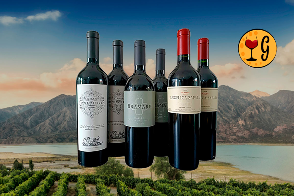 Kit 6 Vinhos Argentinos Consagrados – Três Rótulos Prestigiados de ...