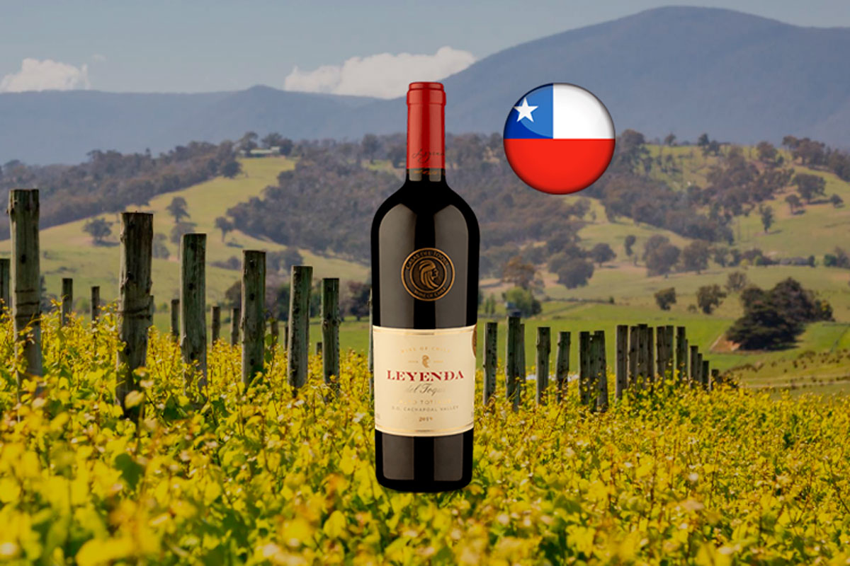Leyenda del Toqui 2013 - Vinho tinto chileno | Center Gourmet Vinhos e ...