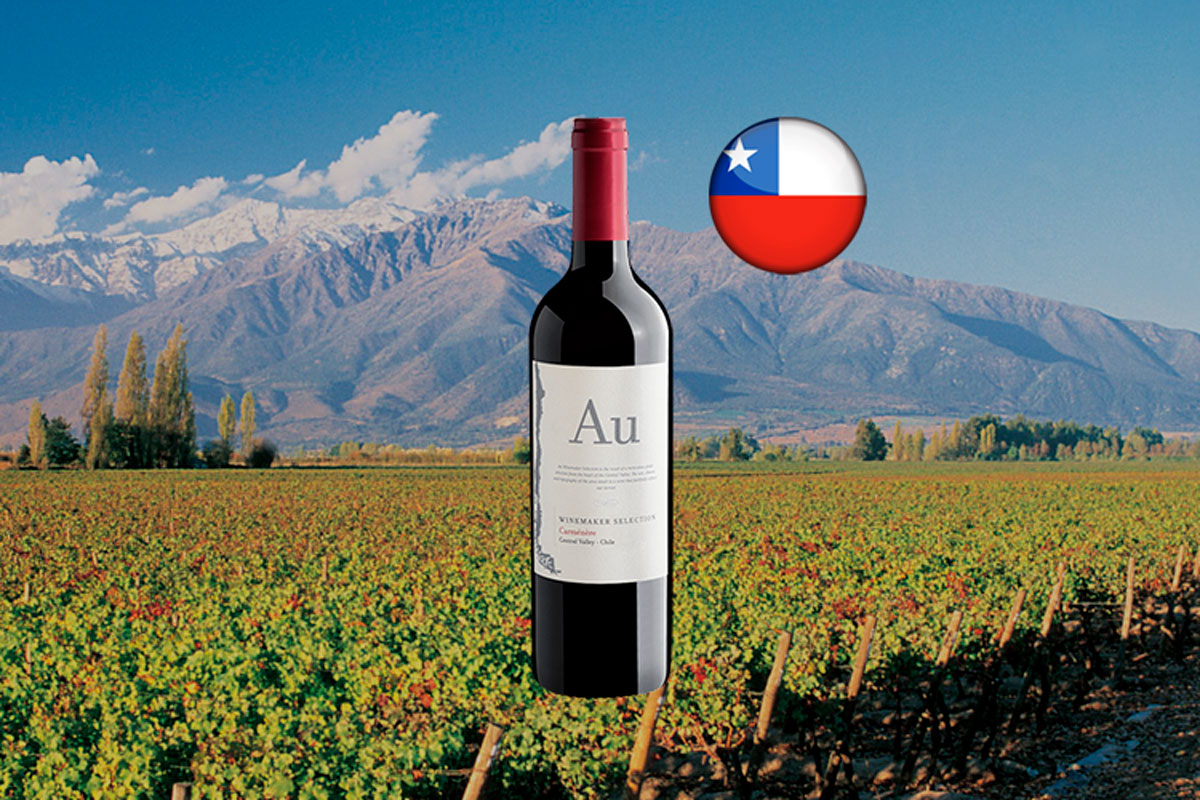 Chant du Coq Sélection Jean Vincent Bideau 2016 | Center Gourmet Vinhos ...