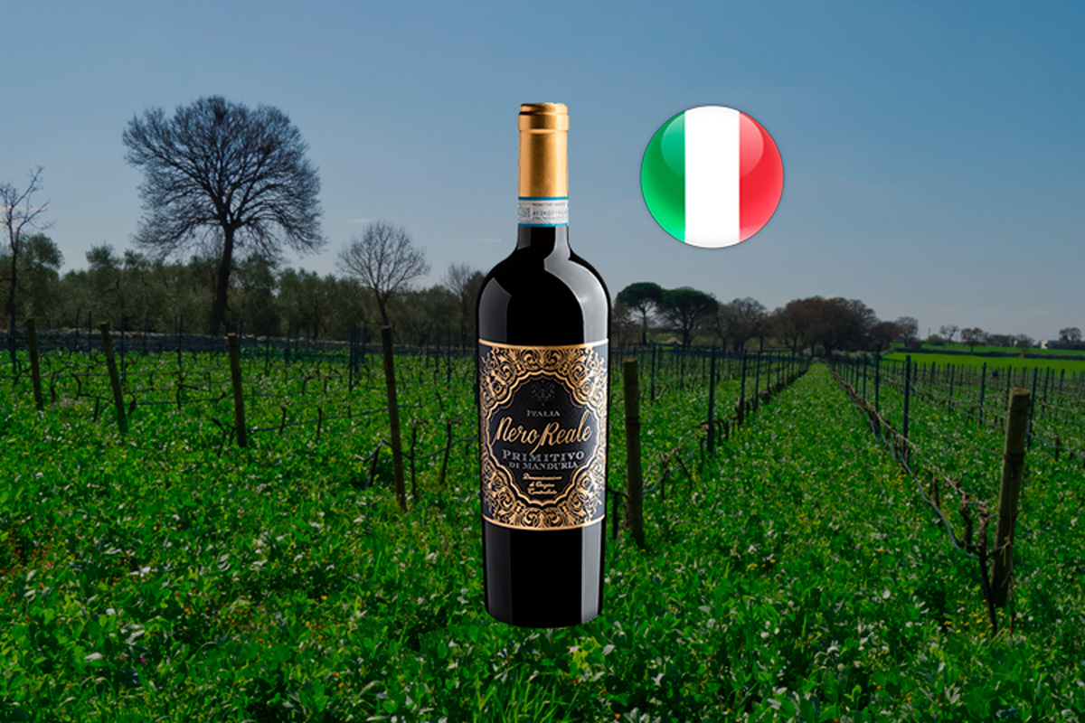 Nero Reale Primitivo di Manduria DOC 2023 - Vinho tinto italiano ...