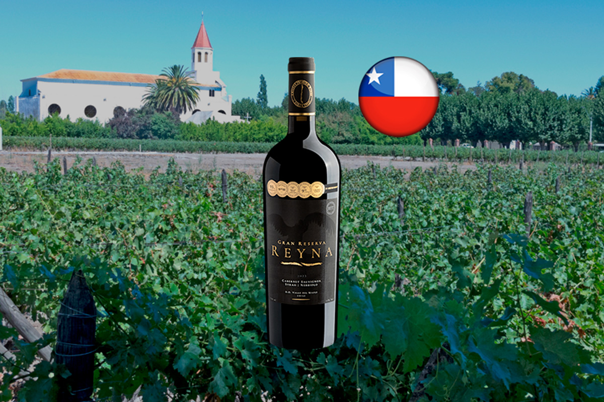 Reyna Gran Reserva Cabernet Sauvignon Syrah Nebbiolo Valle del Maule DO ...