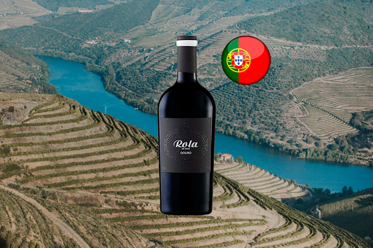 Dona Camila A Tinto - Vinho tinto português | Center Gourmet Vinhos e ...