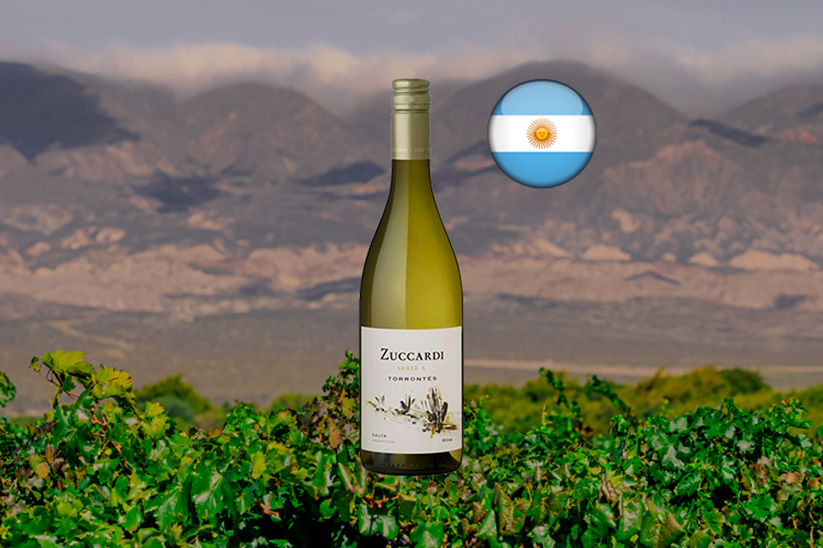 Zuccardi Serie A Torrontés 2023 - Vinho branco argentino | Center ...