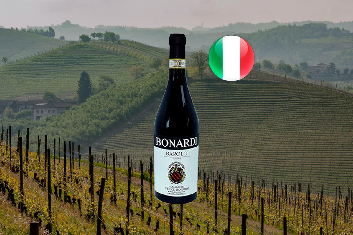 Bonardi Barolo DOCG 2020 - Vinho tinto italiano | Center Gourmet Vinhos ...