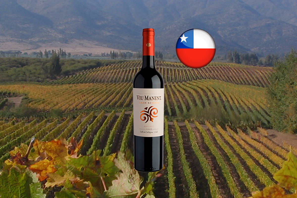 Viu Manent Gran Reserva Malbec 2022 - Vinho tinto chileno | Center ...