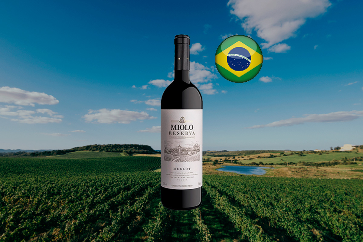 Miolo Reserva Merlot 2023 - Vinho tinto brasileiro | Center Gourmet ...