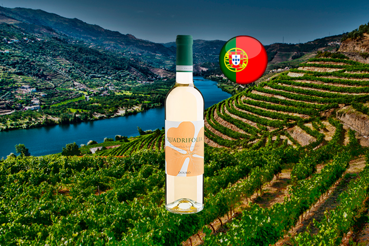 Vallado Quadrifolia Branco Douro DOC 2022 - Vinho branco português ...