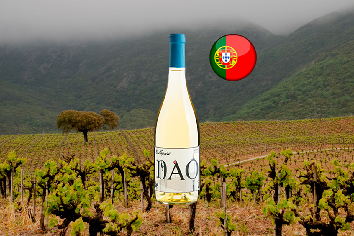 Niepoort Dão Rótulo Branco 2020 - Vinho branco português | Center ...